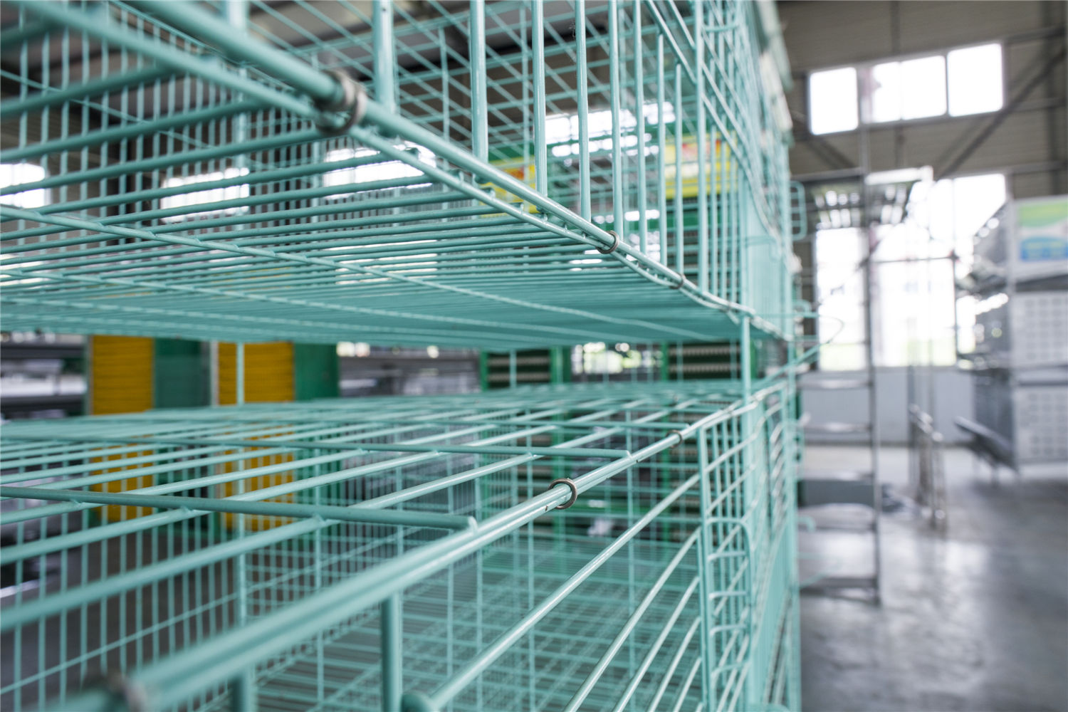 The difference between battery layer chicken cage and broiler chicken ...