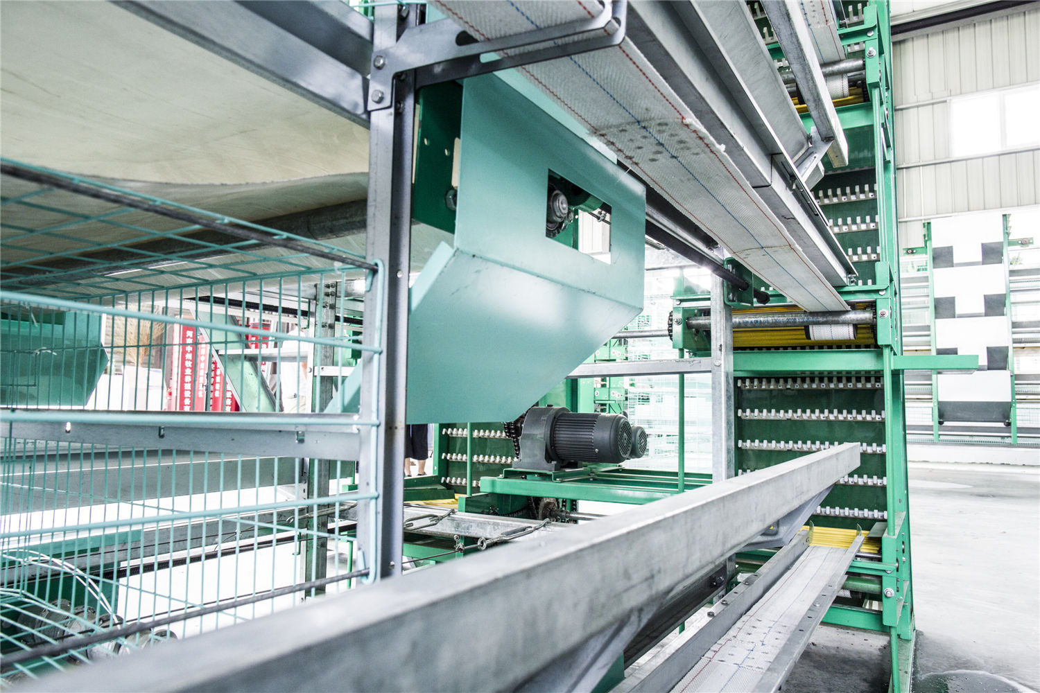 How best to ventilate broiler cages? – Chicken Raising Technology