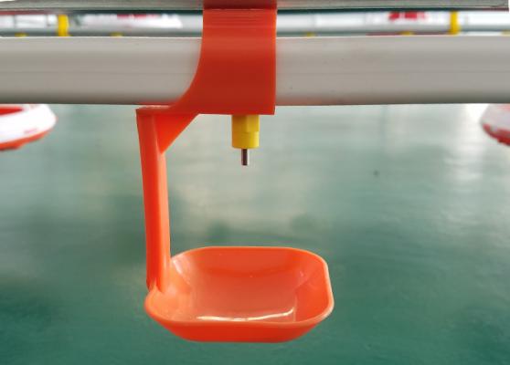 poultry drinking water line is a crucial component of poultry farming ...